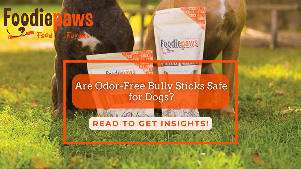 Are Odor-Free Bully Sticks Safe for Dogs? – Foodiepaws