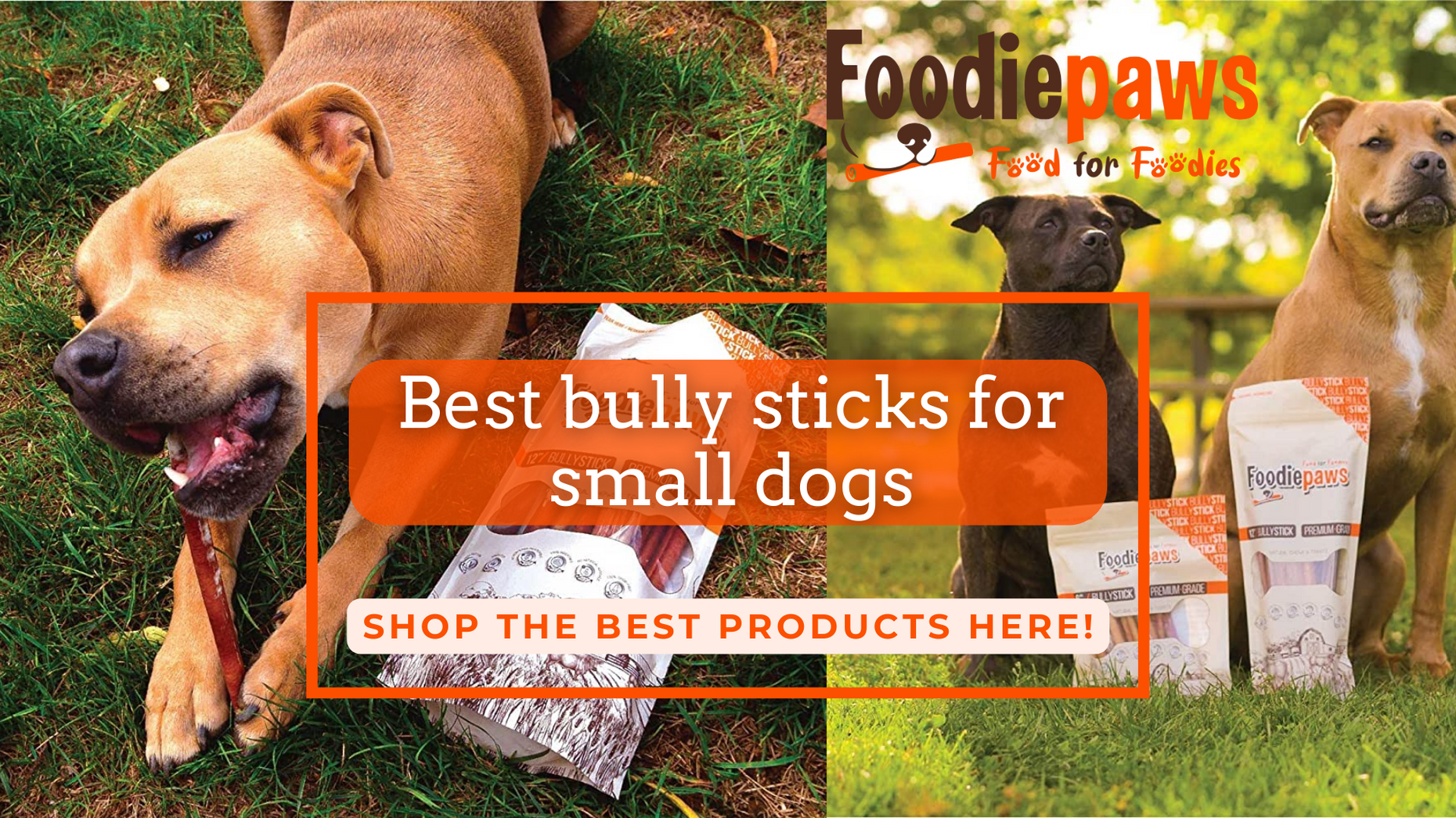 Best bully sticks for small dogs – Foodiepaws