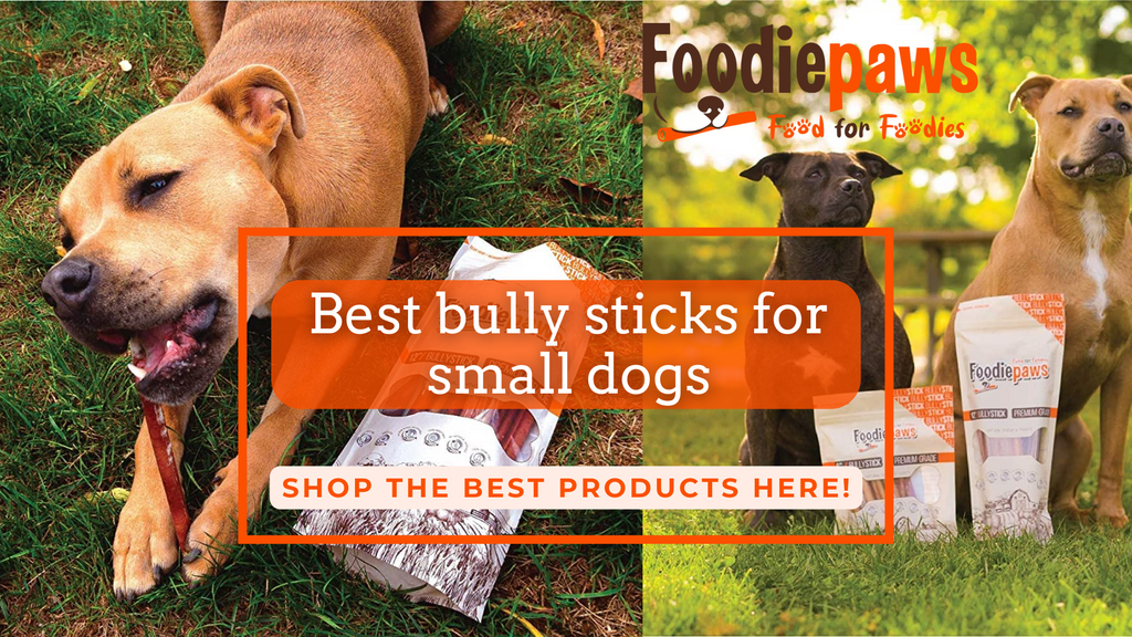 Best bully sticks for small dogs – Foodiepaws