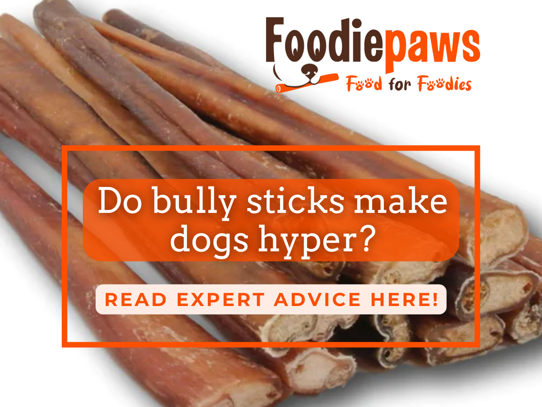 Best bully sticks for small dogs – Foodiepaws