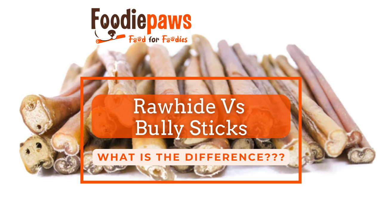Rawhide Vs Bully Sticks: What Is The Difference – Foodiepaws