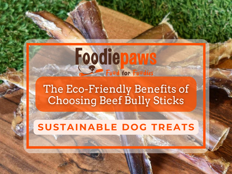 The Ultimate Guide to Beef Bully Sticks for Dogs: Benefits, Safety, an ...