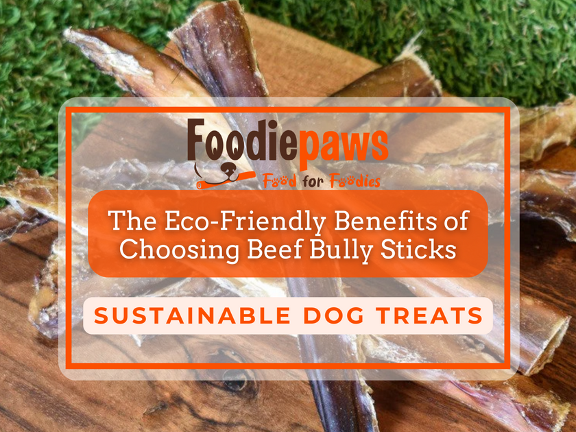 Top 5 Reasons Why Beef Bully Sticks Are a Must-Have Dog Treat – Foodiepaws