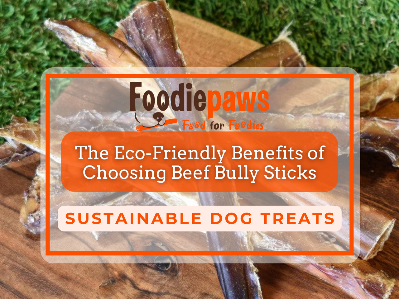 Top 5 Reasons Why Beef Bully Sticks Are a Must-Have Dog Treat – Foodiepaws