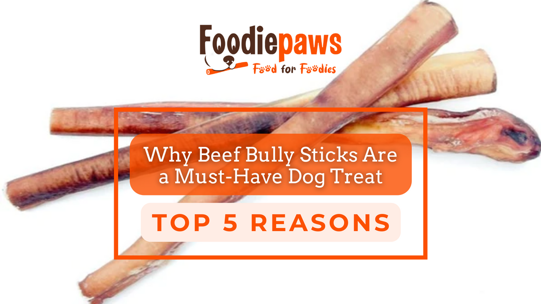 Top 5 Reasons Why Beef Bully Sticks Are a Must-Have Dog Treat – Foodiepaws