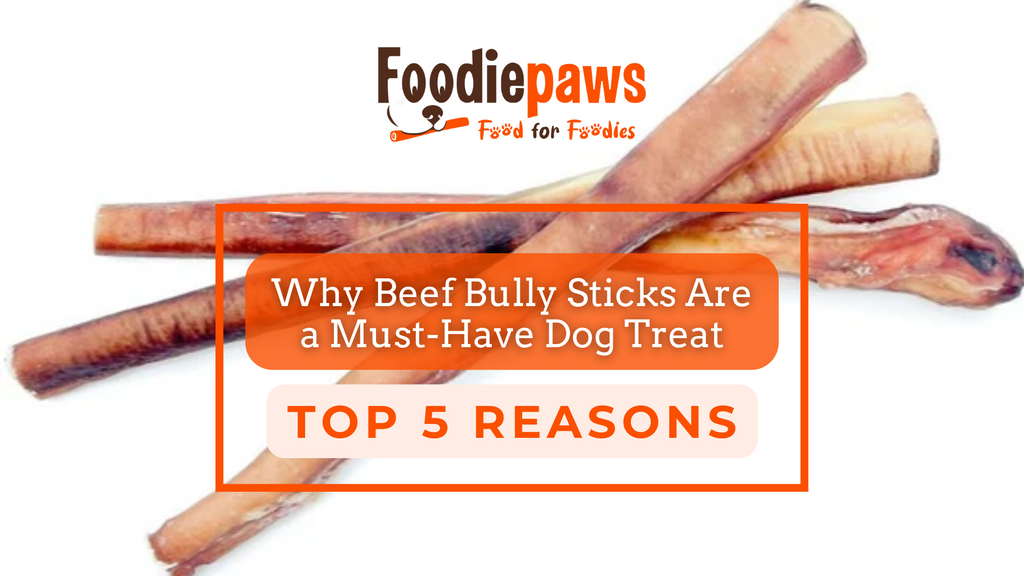 Top 5 Reasons Why Beef Bully Sticks Are a Must-Have Dog Treat – Foodiepaws